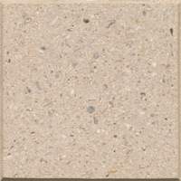 Artistic Paver | Coping